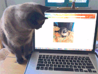 Reflection GIFs - Get the best gif on GIFER