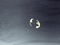 Raindrop GIFs - Get the best gif on GIFER