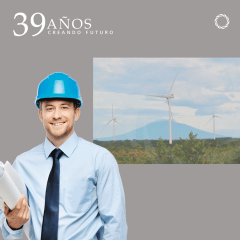 Candidato GIF - Conseguir el mejor gif en GIFER