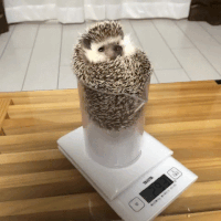 Volume GIFs - Get the best gif on GIFER