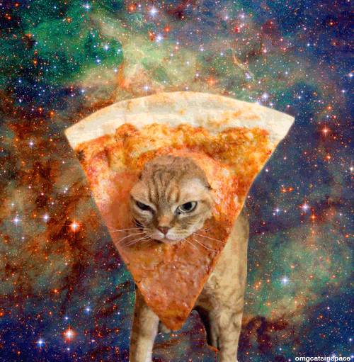 Mundane GIFs - Get the best gif on GIFER
