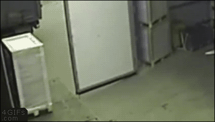 Паллет GIFs - Get the best gif on GIFER