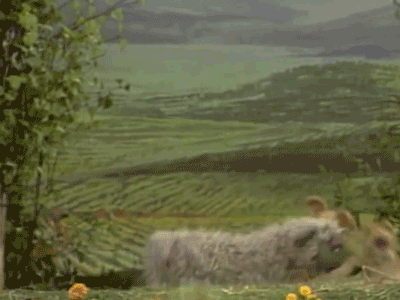Leap frog GIF - Conseguir o melhor gif em GIFER