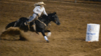 Equestrian GIFs - Get the best gif on GIFER