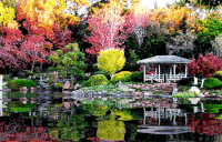 Garden GIFs - Get the best gif on GIFER