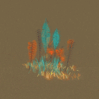 Plant GIFs - Get the best gif on GIFER