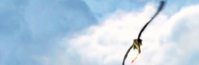 Soaring GIFs - Get the best gif on GIFER