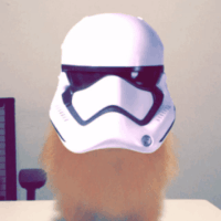 First order GIFs - Get the best gif on GIFER
