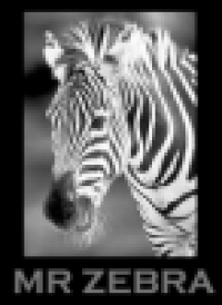 Geocities GIFs - Get the best gif on GIFER