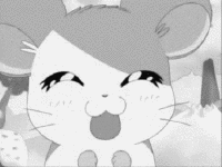 Hamtaro GIFs - Get the best gif on GIFER