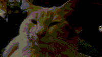 Yeaaah GIFs - Get the best gif on GIFER