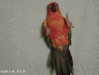 Tucked GIFs - Get the best gif on GIFER