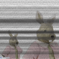 Distorted GIFs - Get the best gif on GIFER