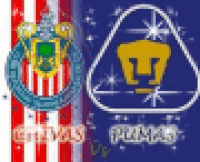 Chiva GIFs - Get the best gif on GIFER