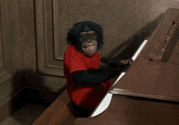 Ape GIFs - Get the best gif on GIFER