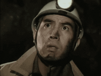 Tazered GIFs - Get the best gif on GIFER