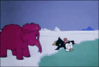 Chilly GIFs - Get the best gif on GIFER