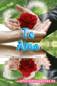 Amor GIF - Conseguir el mejor gif en GIFER