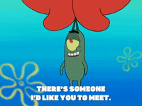 Chum GIFs - Get the best gif on GIFER