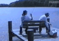 Bait GIFs - Get the best gif on GIFER
