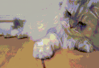 Operate GIFs - Get the best gif on GIFER