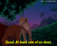 Nala GIFs - Get the best gif on GIFER