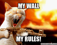 Rules GIFs - Get the best gif on GIFER