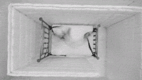 Asylum GIFs - Get the best gif on GIFER