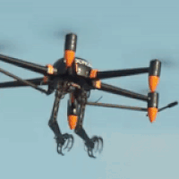 Tweet GIFs - Get the best gif on GIFER