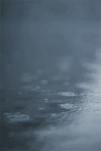 Rainy GIFs - Get the best gif on GIFER