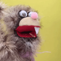 Hazelnut GIFs - Get the best gif on GIFER