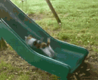 Inbox GIF - Conseguir o melhor gif em GIFER