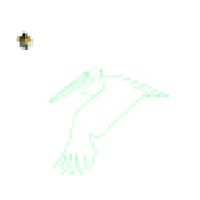 Pelican GIFs - Get the best gif on GIFER