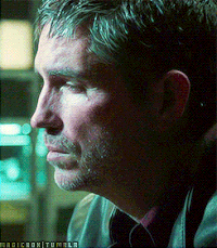 312 GIFs - Get the best gif on GIFER