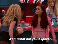 Sam cat GIFs - Get the best gif on GIFER