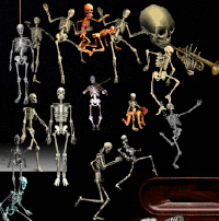 Bone GIFs - Get the best gif on GIFER