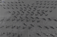 Handlebar GIFs - Get the best gif on GIFER