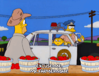 Tomacco GIFs - Get the best gif on GIFER