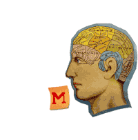 Communication GIFs - Get the best gif on GIFER