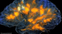 Cerebro GIFs - Get the best gif on GIFER