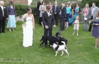 Two GIFs - Get the best gif on GIFER
