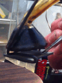 Rigging GIFs - Get the best gif on GIFER