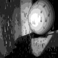 Egghead GIFs - Get the best gif on GIFER