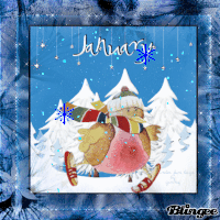 January GIFs - Get the best gif on GIFER