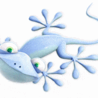 Gecko GIFs - Get the best gif on GIFER