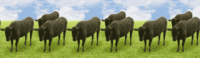 Quora GIFs - Get the best gif on GIFER