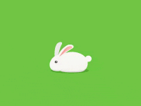 Rabbit GIFs - Get the best gif on GIFER