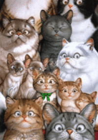 Arabic GIFs - Get the best gif on GIFER