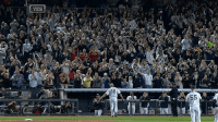 Yankee clipper GIF - Conseguir el mejor gif en GIFER