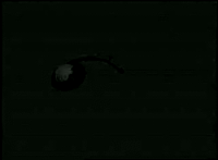 Locomotion GIFs - Get the best gif on GIFER